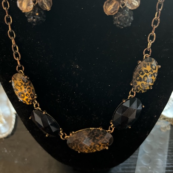 Jewelry | 5 For 15 Leopard Print And Black Necklace With Matching ...